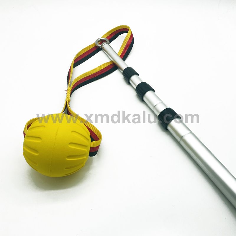aluminum telescopic extension pole for dog cat with customized toy